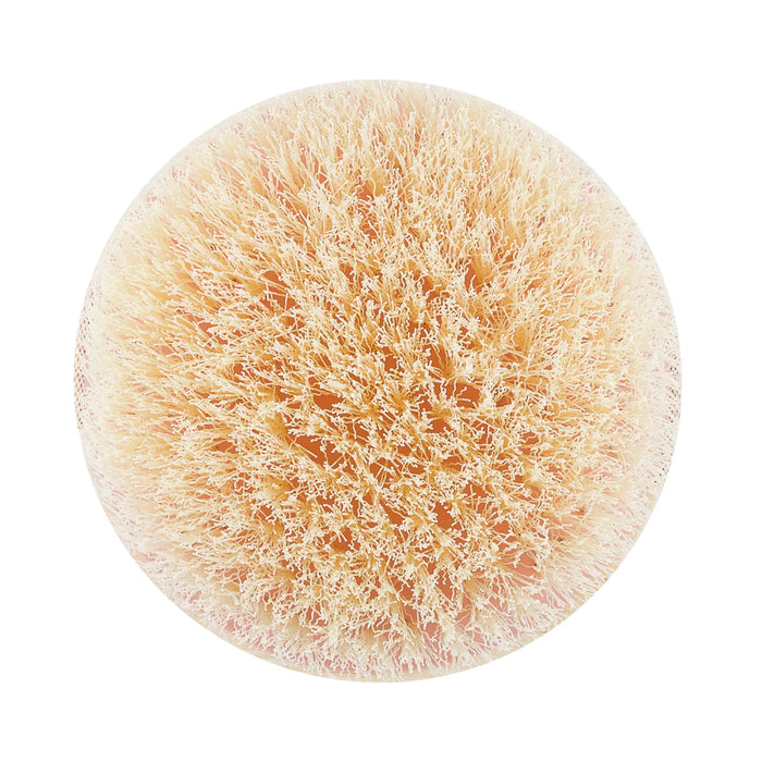 Eco Tools Dry Body Brush — Beauty Supply Group